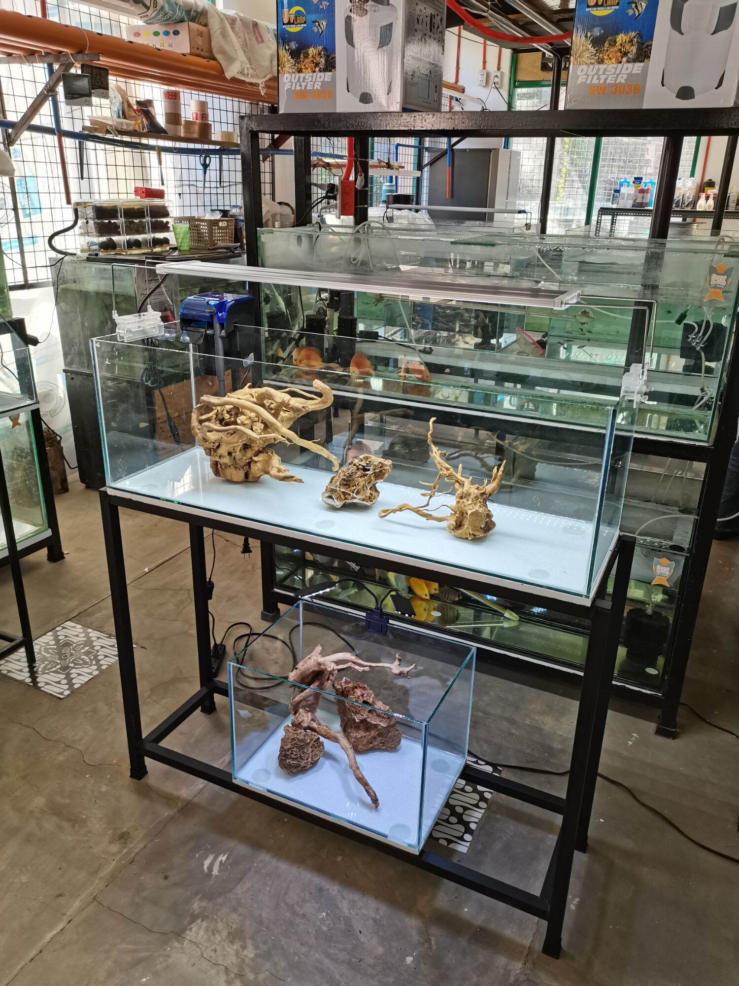 Snout&Gills 100cm Standard Rimless Low and Shallow Tank | Lazada PH