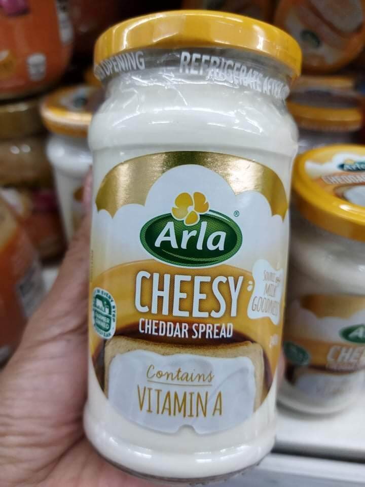 ARLA CHEESY CHEDDAR SPREAD ( 240 grams) mild & creamy taste | Lazada PH