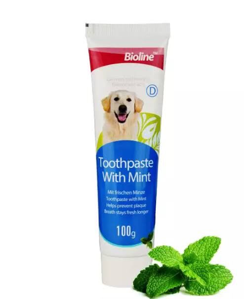 Bioline toothpaste mint 100g | Lazada PH