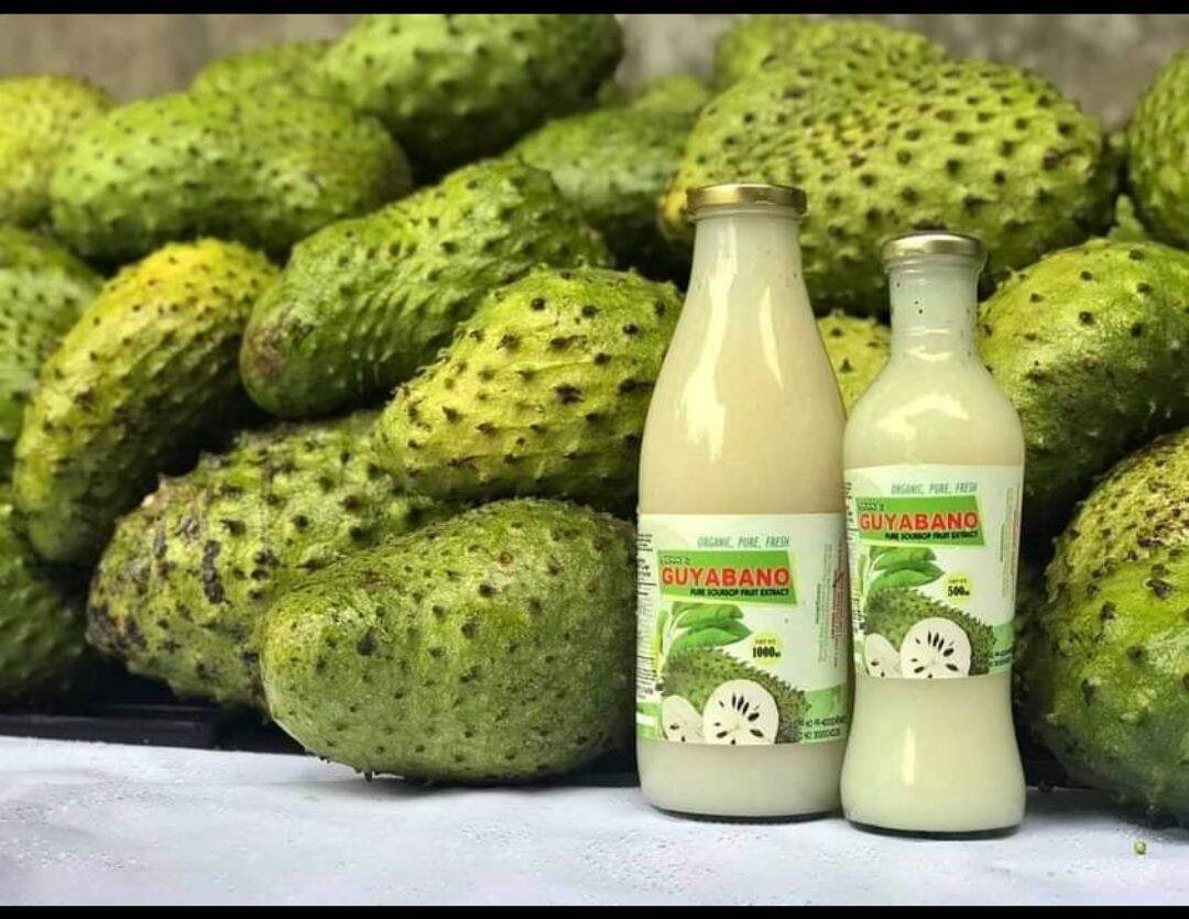 ORGANIC GUYABANO PUREE 500ml | Lazada PH