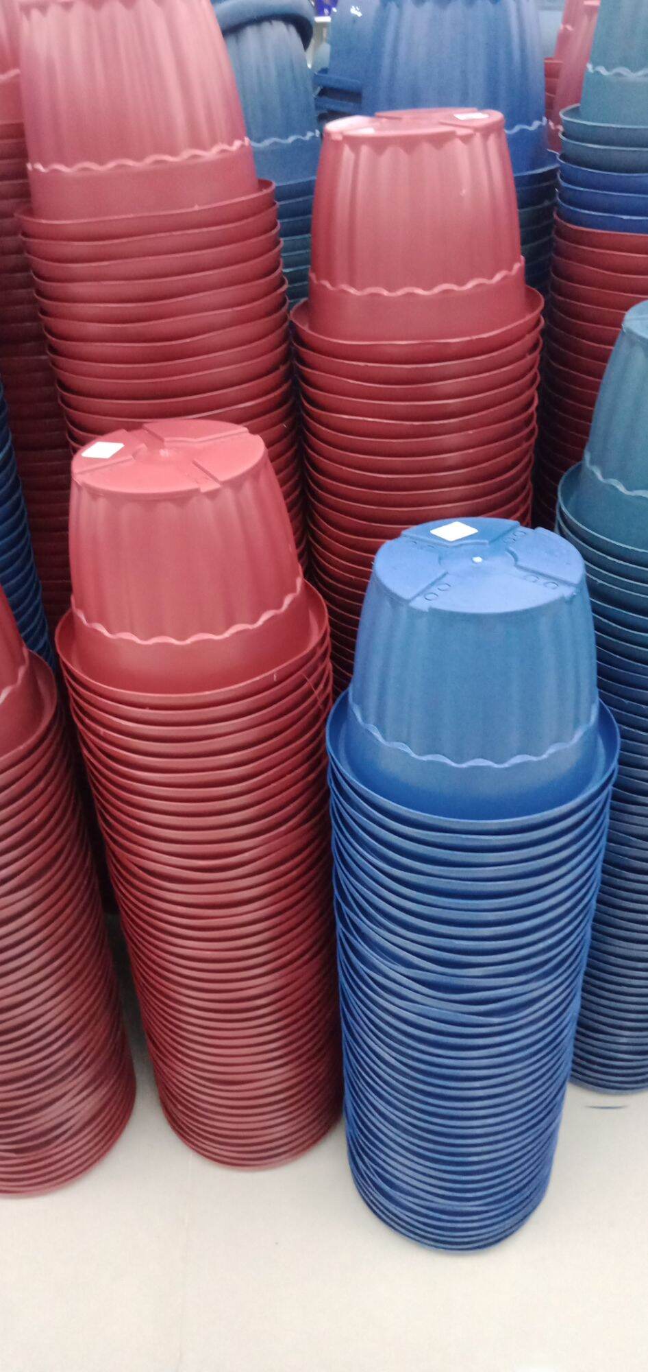 5 for 155 Plastic Pots 7.5*6 | Lazada PH