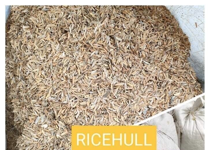 Rice Hull/ipa for plants | Lazada PH