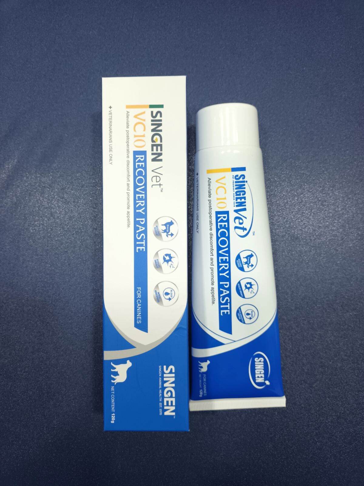 Singen Recovery Paste for Dogs | Lazada PH