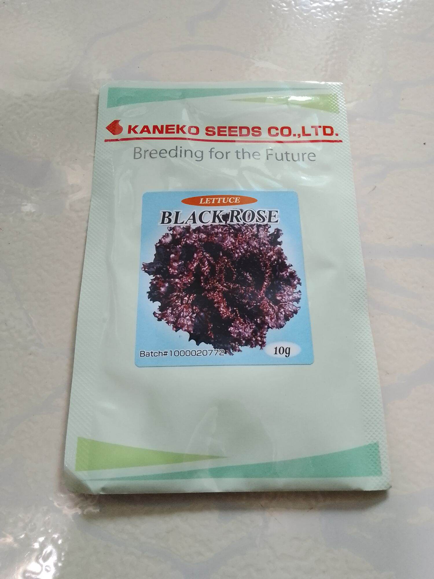 BLACK ROSE LETTUCE SEEDS (10 GRAMS )KANEKO SEEDS | Lazada PH