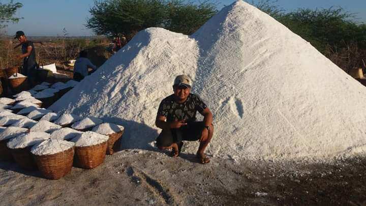 Dasol Pangasinan Premium Sea Salt 1kg | Lazada PH