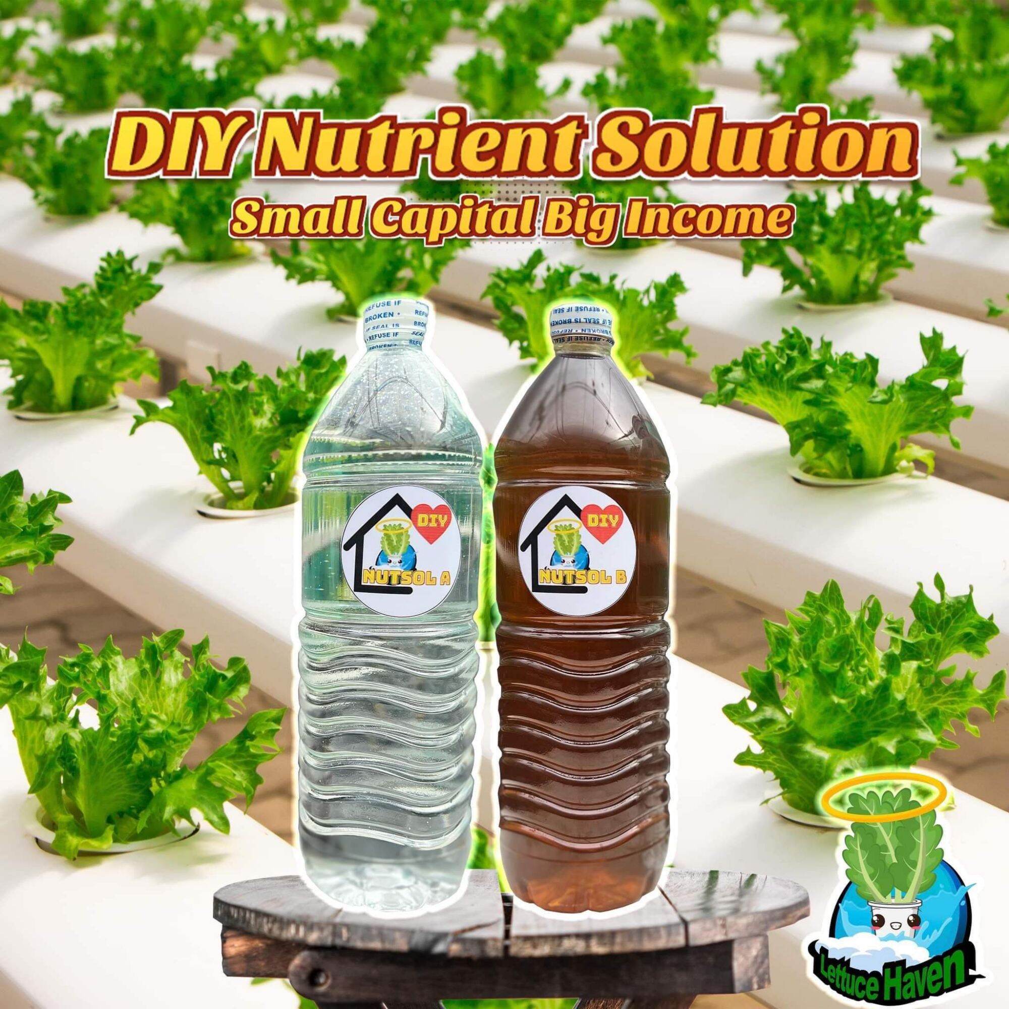 DIY nutrients Solution for Hydroponics
