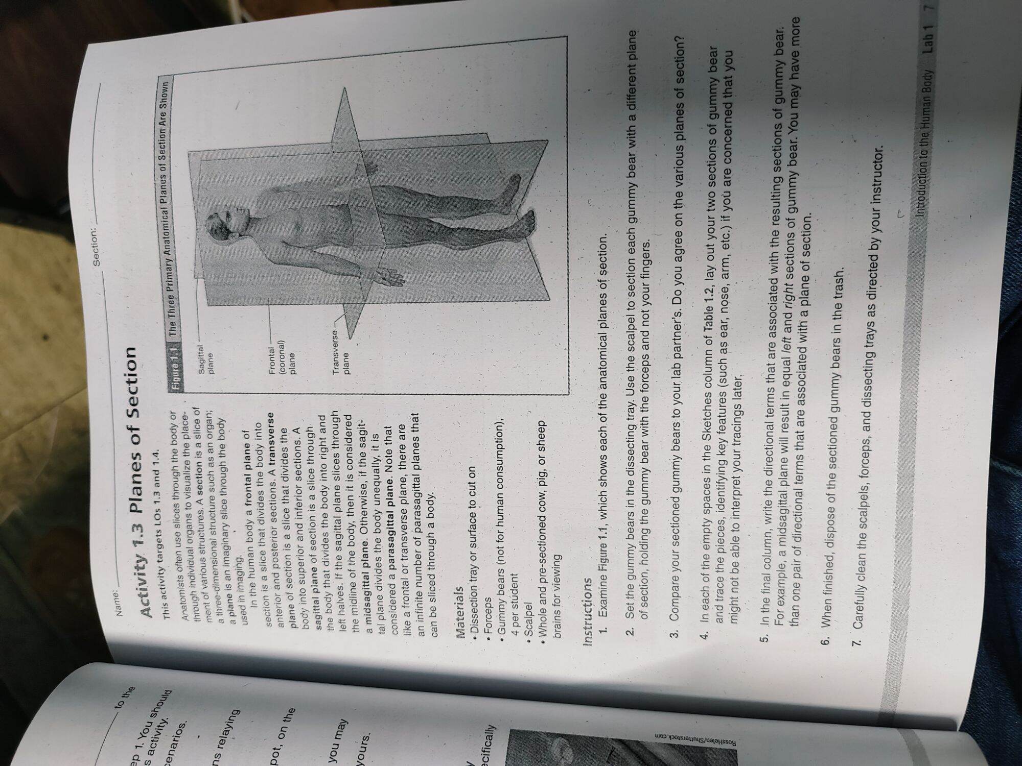 Anatomy & Physiology By: Elizabeth Mack Co C2024 | Lazada PH