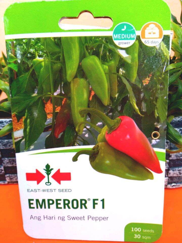 Emperor F1 East-West Seed Sweet Pepper (100 Seeds) | Lazada PH