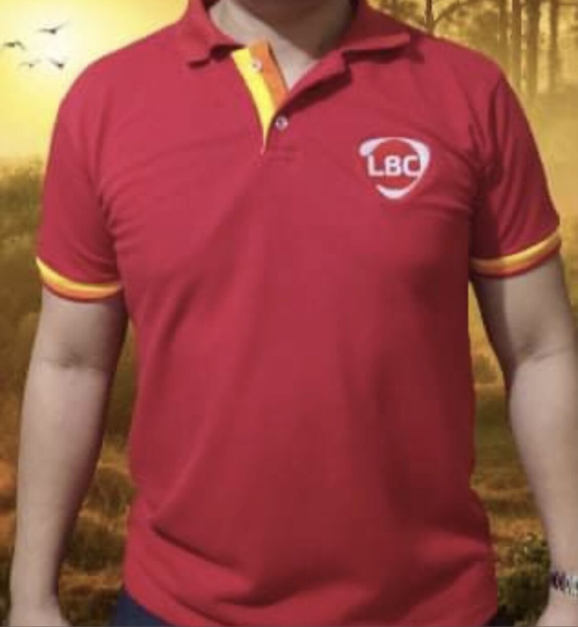 Pre-Order Embroidered Polo Shirt for Men | Lazada PH