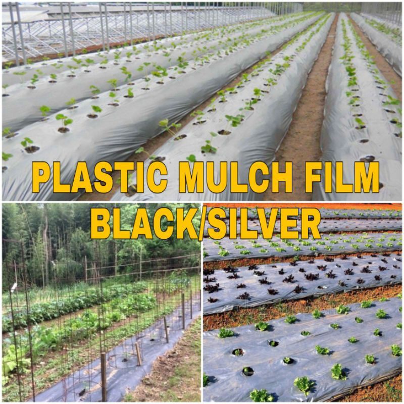 (1.2mx5m)Plastic Mulch Film Black/Silver,agriculture film vegetable ...