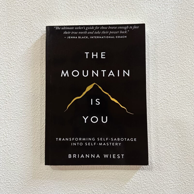 Synopsis Of The Mountain Is You Transforming Self Sabotage Into Self Mastery
