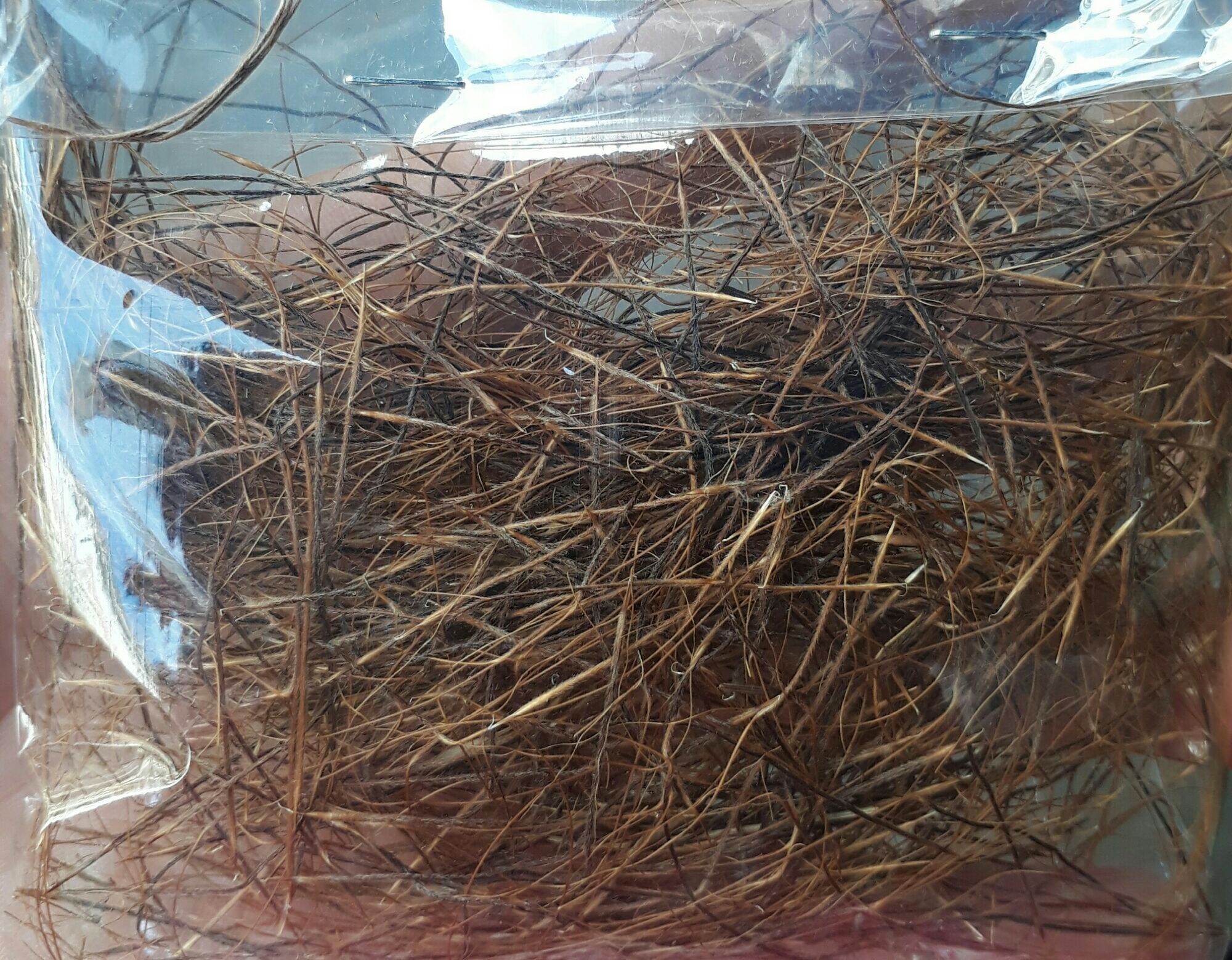 WISHING HAIR | Buhok ni Maria Gumagalaw Hinihilingan ng kahit ano basta ...