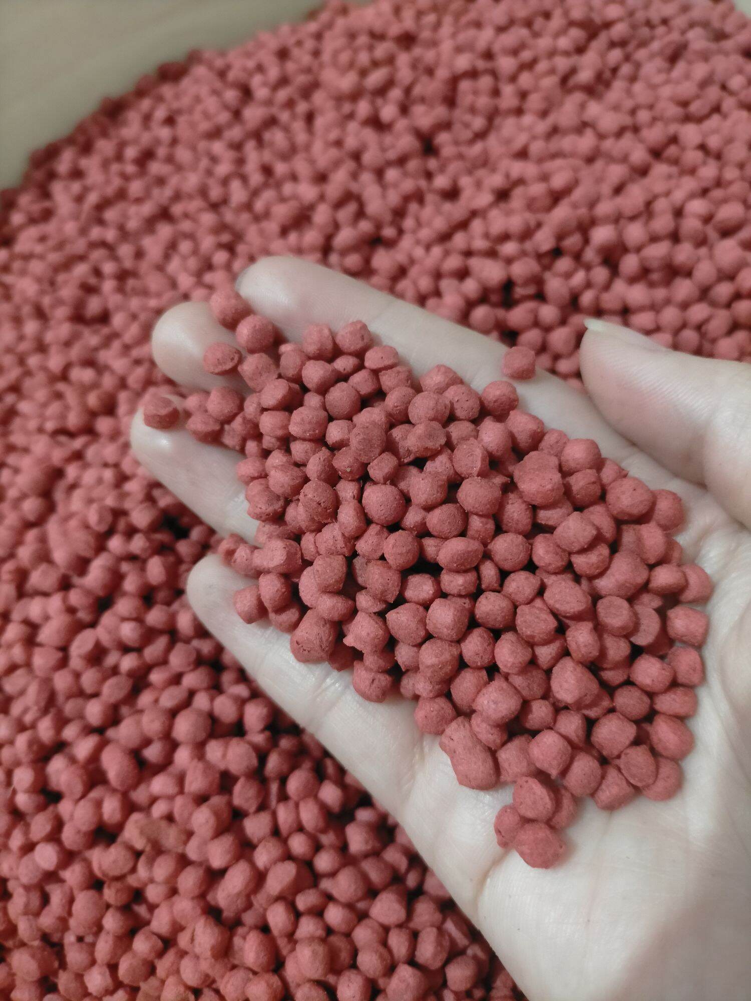 JTC Color floating type pellet 1 kilo | Lazada PH