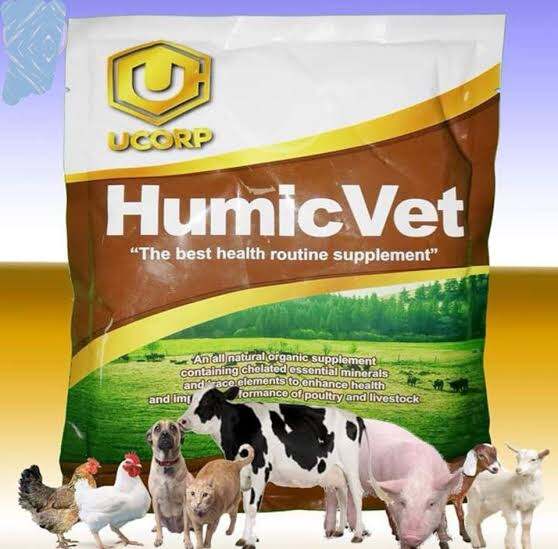 Humic Vet 100 grams | Lazada PH