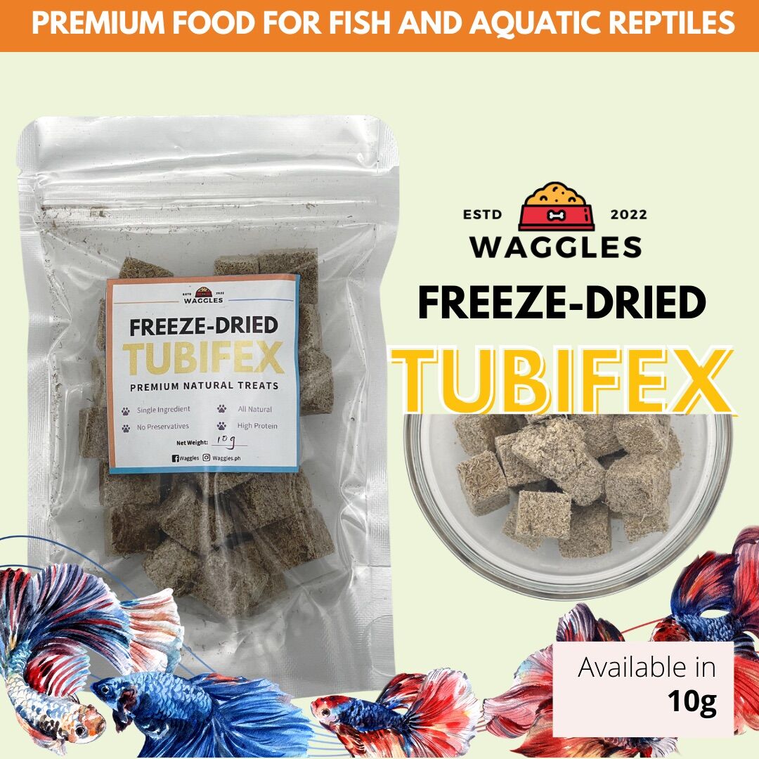 Freeze dried Tubifex fish food aquatic reptiles | Lazada PH