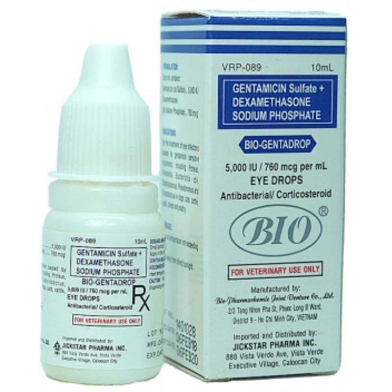 Biogenta eye drops 10ml for pet dog and cat | Lazada PH