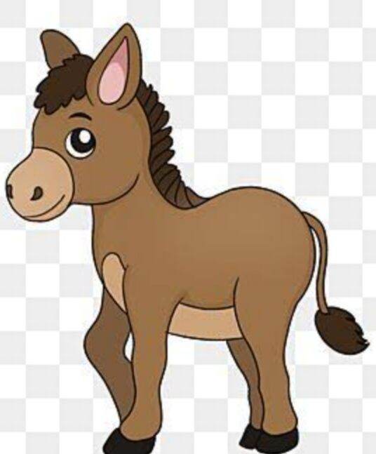 Shop online with buriko now! Visit buriko on Lazada.