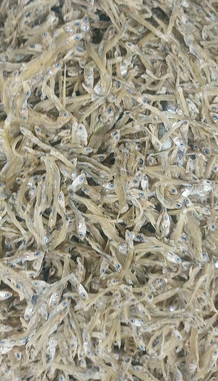 Tuyo Dilis dried fish small (250g) | Lazada PH