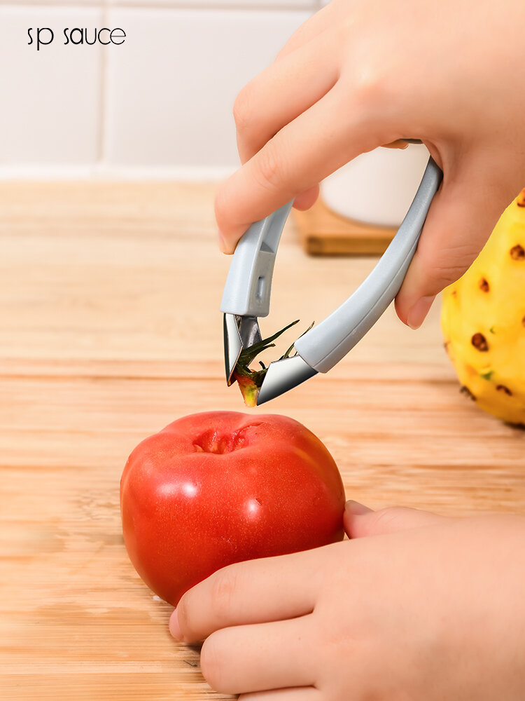 Japanese Stainless Steel Pineapple Core Remover Eye-Digging Clip ...