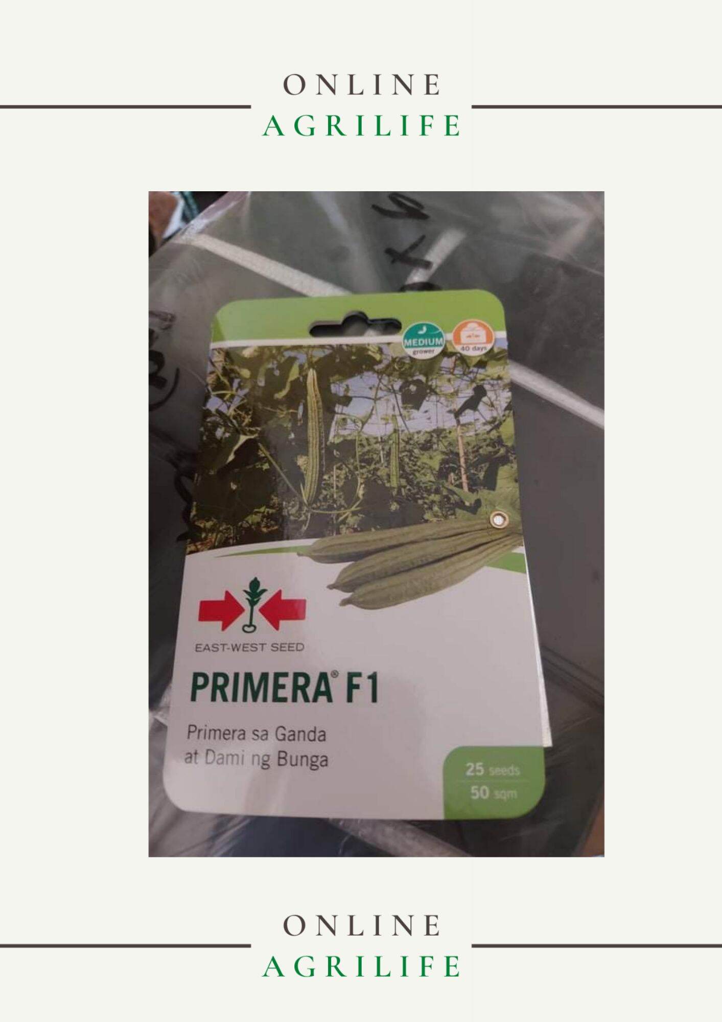 PRIMERA F1- Patola 25 seeds EAST WEST Seeds | Lazada PH