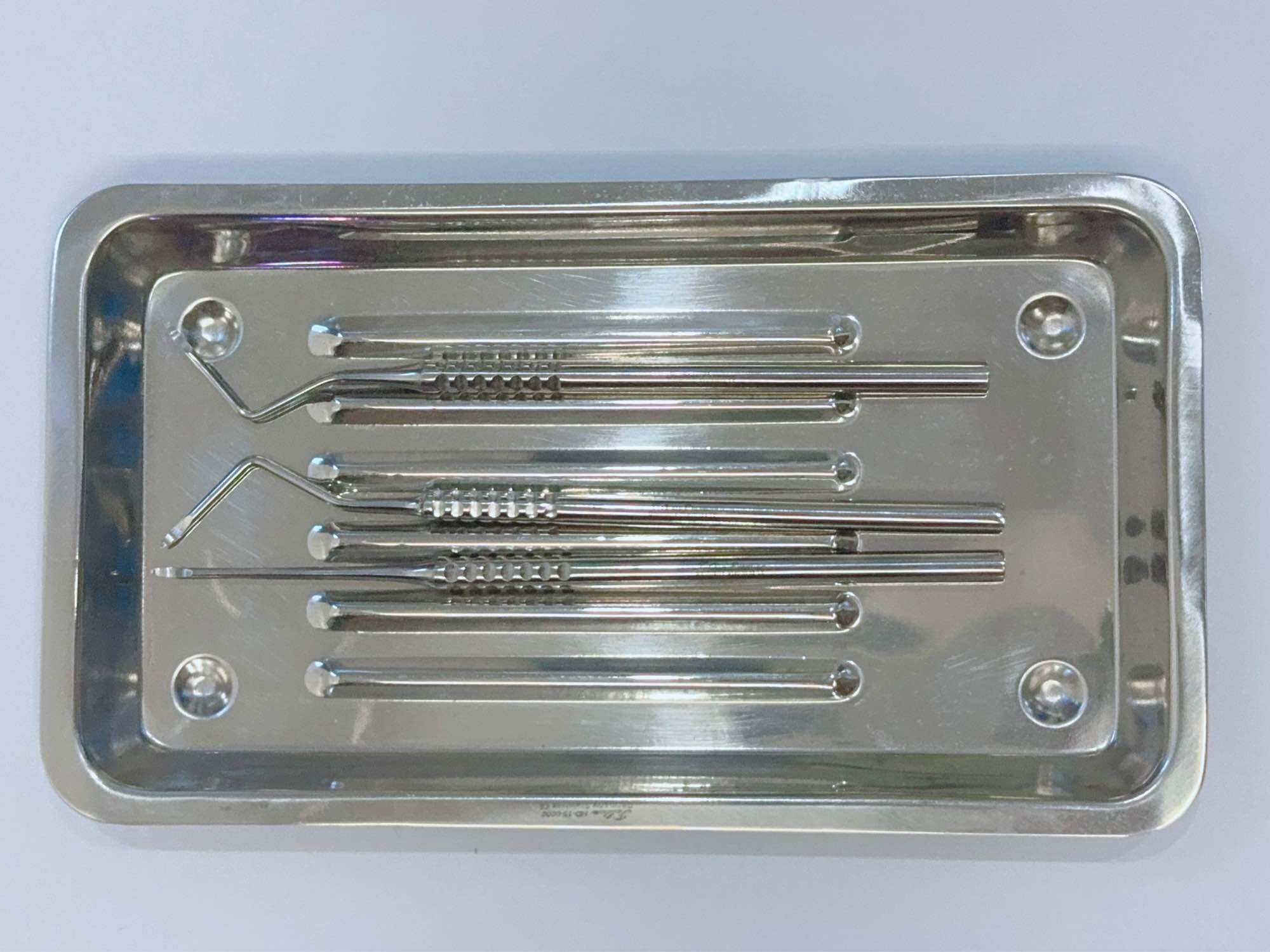 Scaler Tray FELDON Stainless Steel Dental Tray | Lazada PH