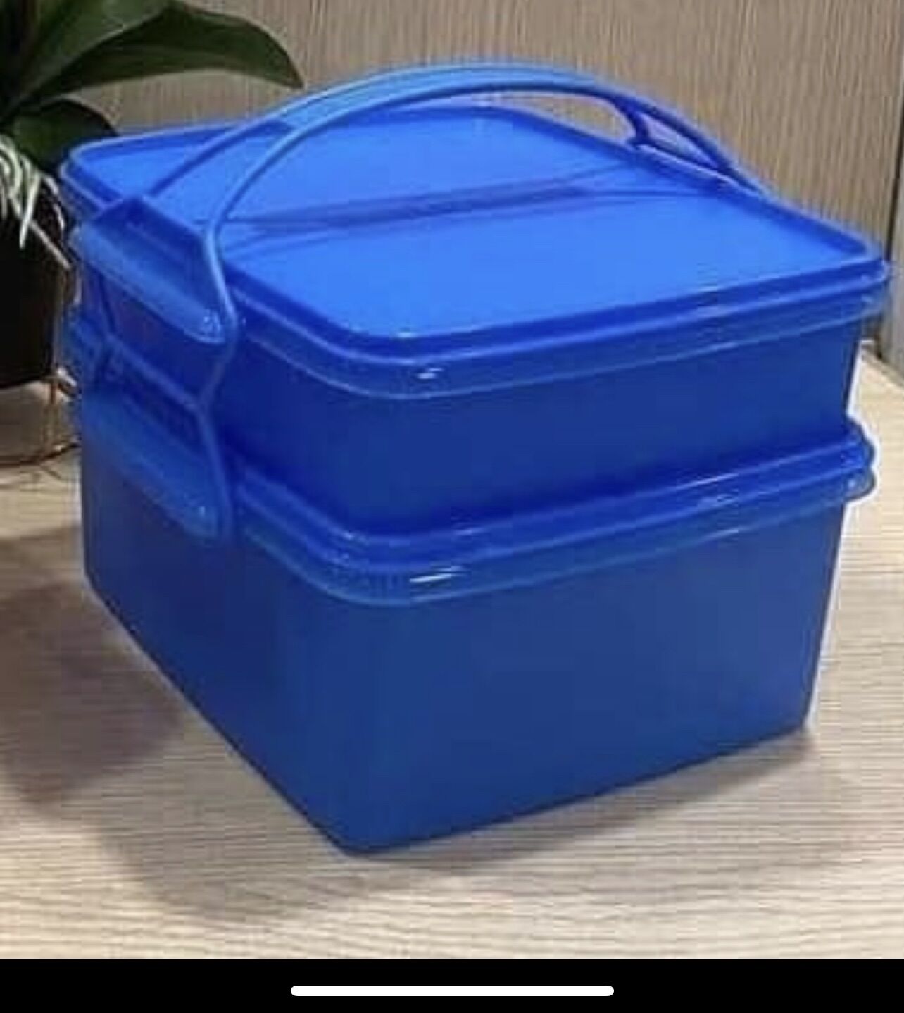 Jumbo Goody Box by Tupperware | Lazada PH