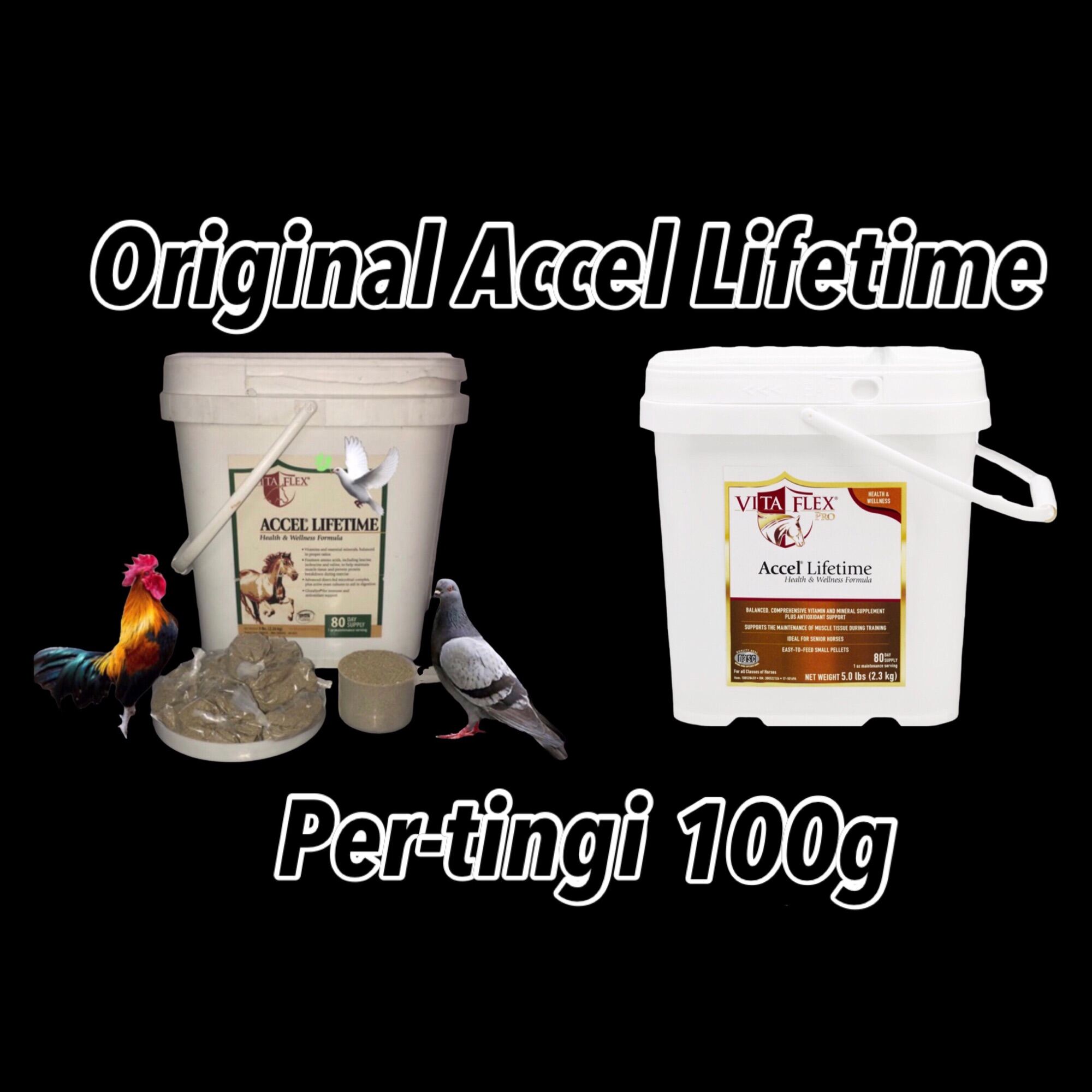 Accel Lifetime Original tingi 100g for racing pigeon, fighting cock ...