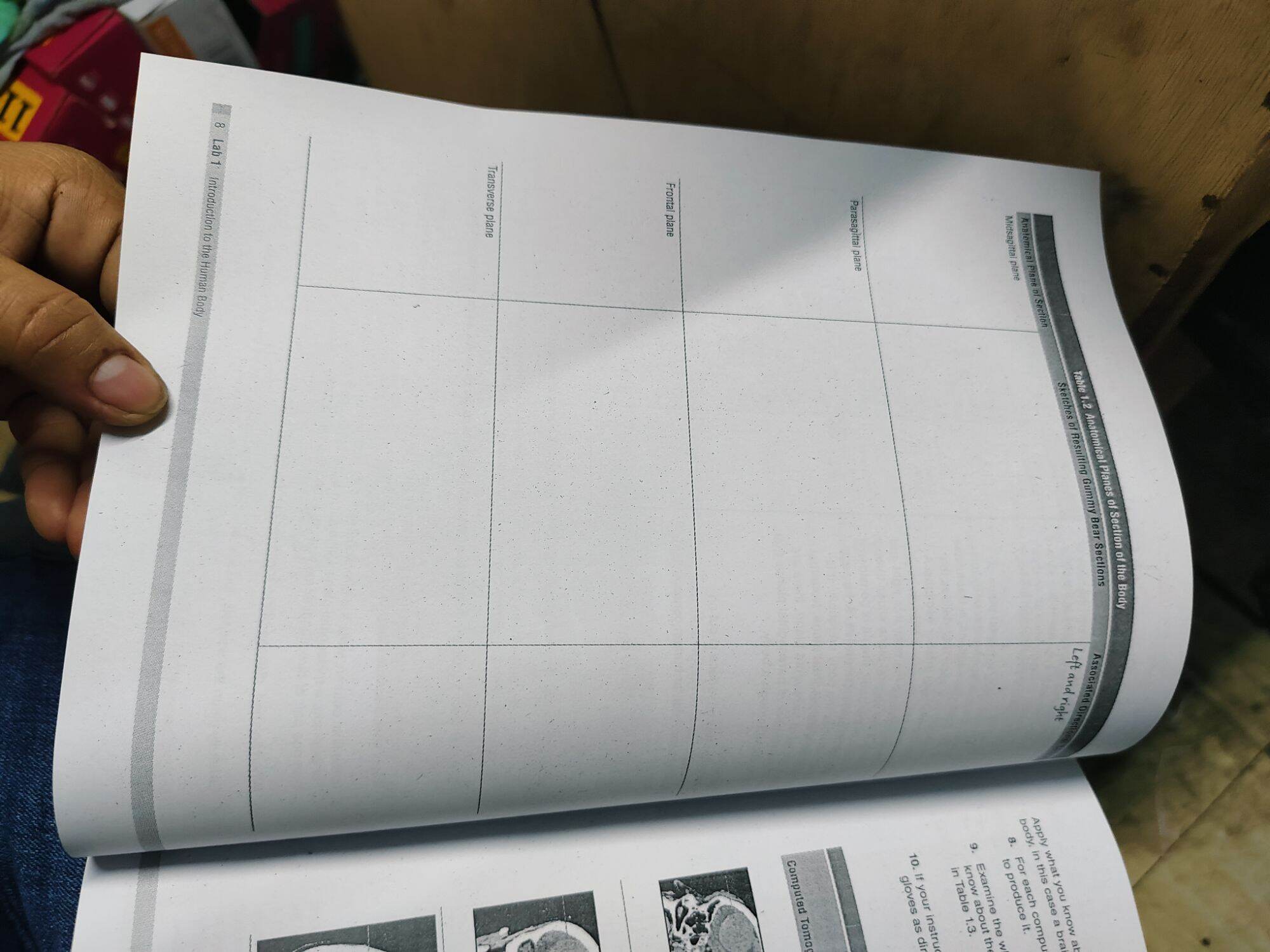 Anatomy & Physiology By: Elizabeth Mack Co C2024 | Lazada PH