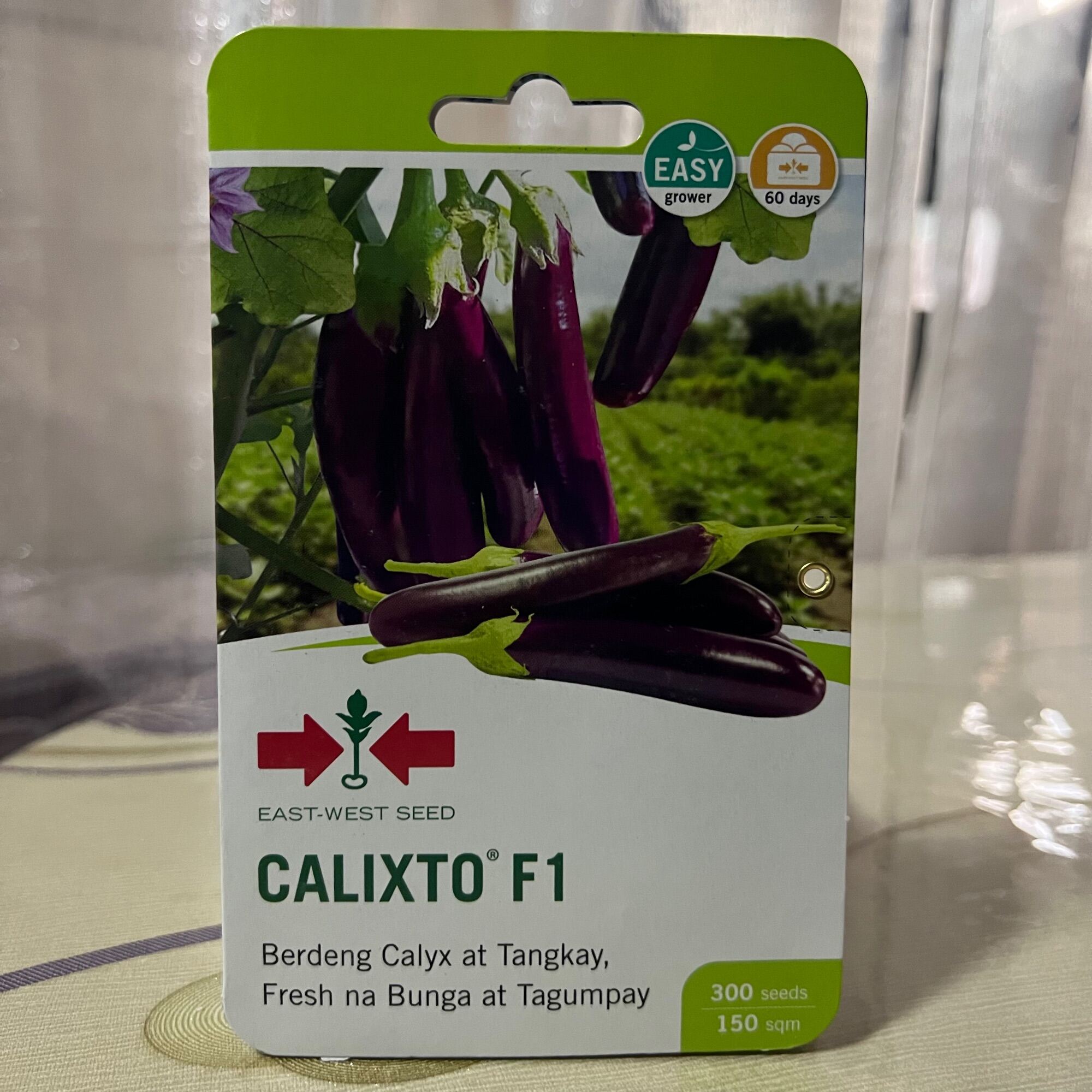 CALIXTO FORTUNER BANATE KING EAST WEST SEED HYBRID EGGPLANT VEGETABLE ...
