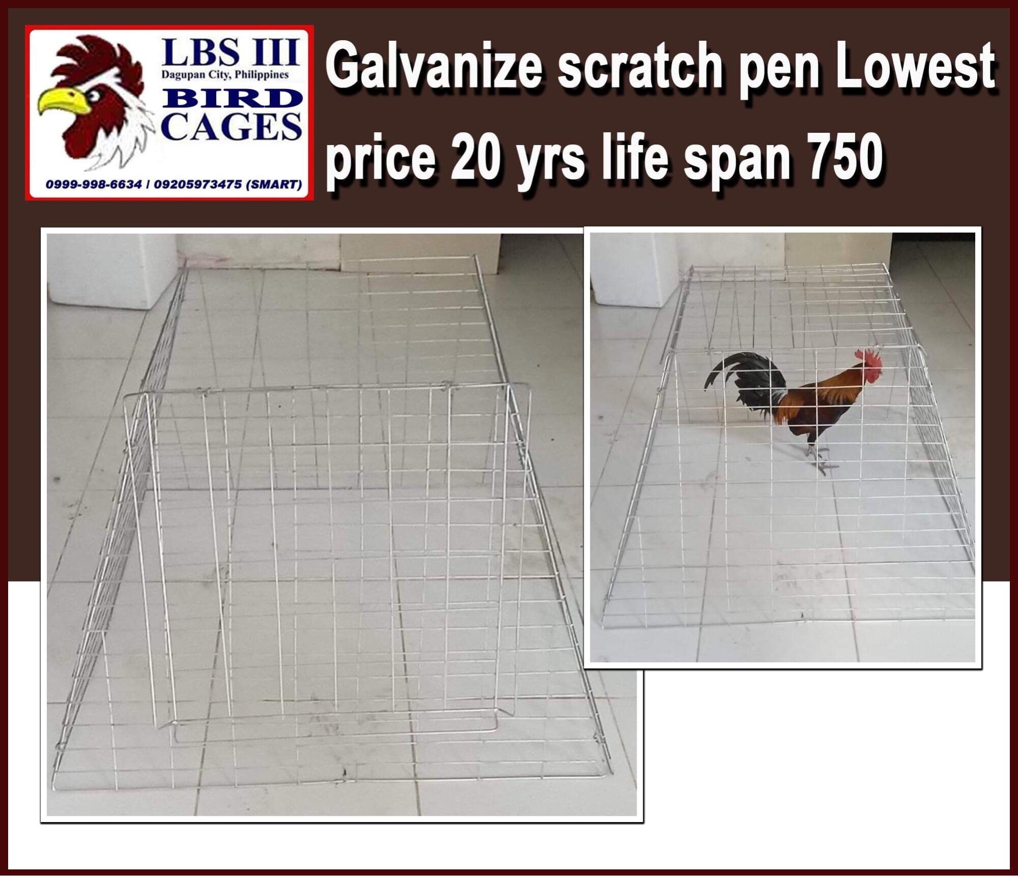 Scratch pens galvanize | Lazada PH