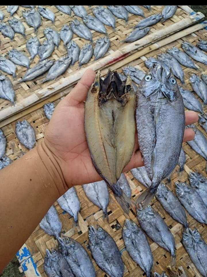 Dried Fish FISH MAID