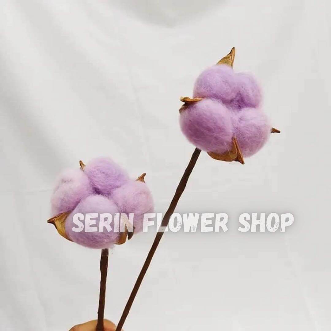 Dried Cotton Flower (home décor, wedding bouquet, dried flower ...