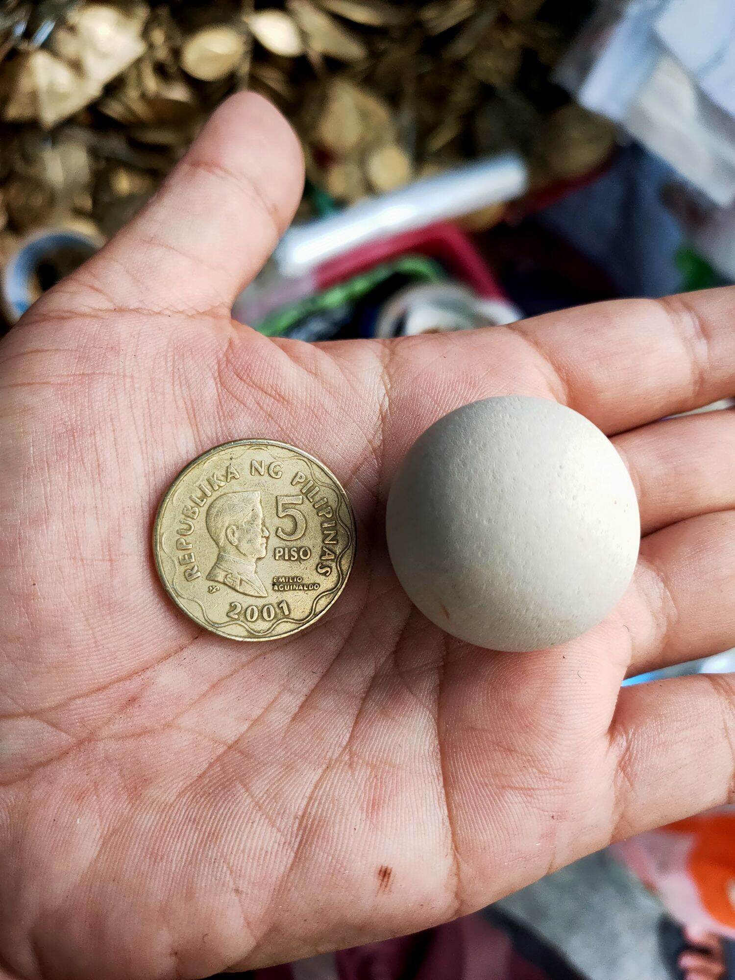 Bato Omo Grey Agimat ng Quiapo | Lazada PH