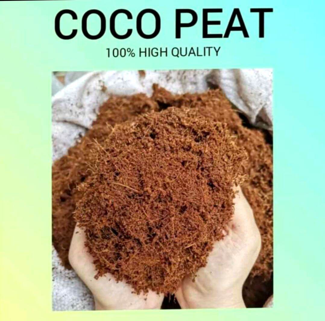 Cocopeat/Coconut fiber