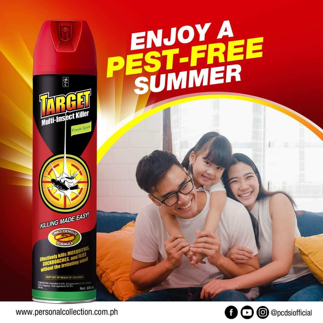 PC TARGET INSECT KILLER SPRAY 600ML | Lazada PH