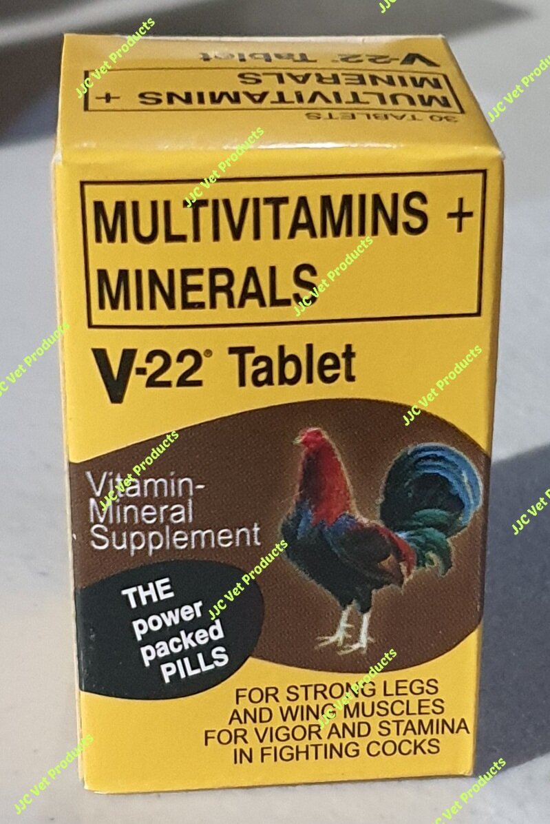 V22 Multivitamins 30 Tablets | Lazada PH