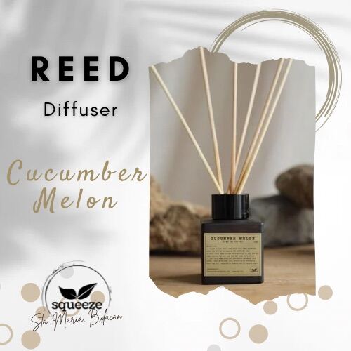 Reed Diffuser with 6 pcs reed sticks | Lazada PH