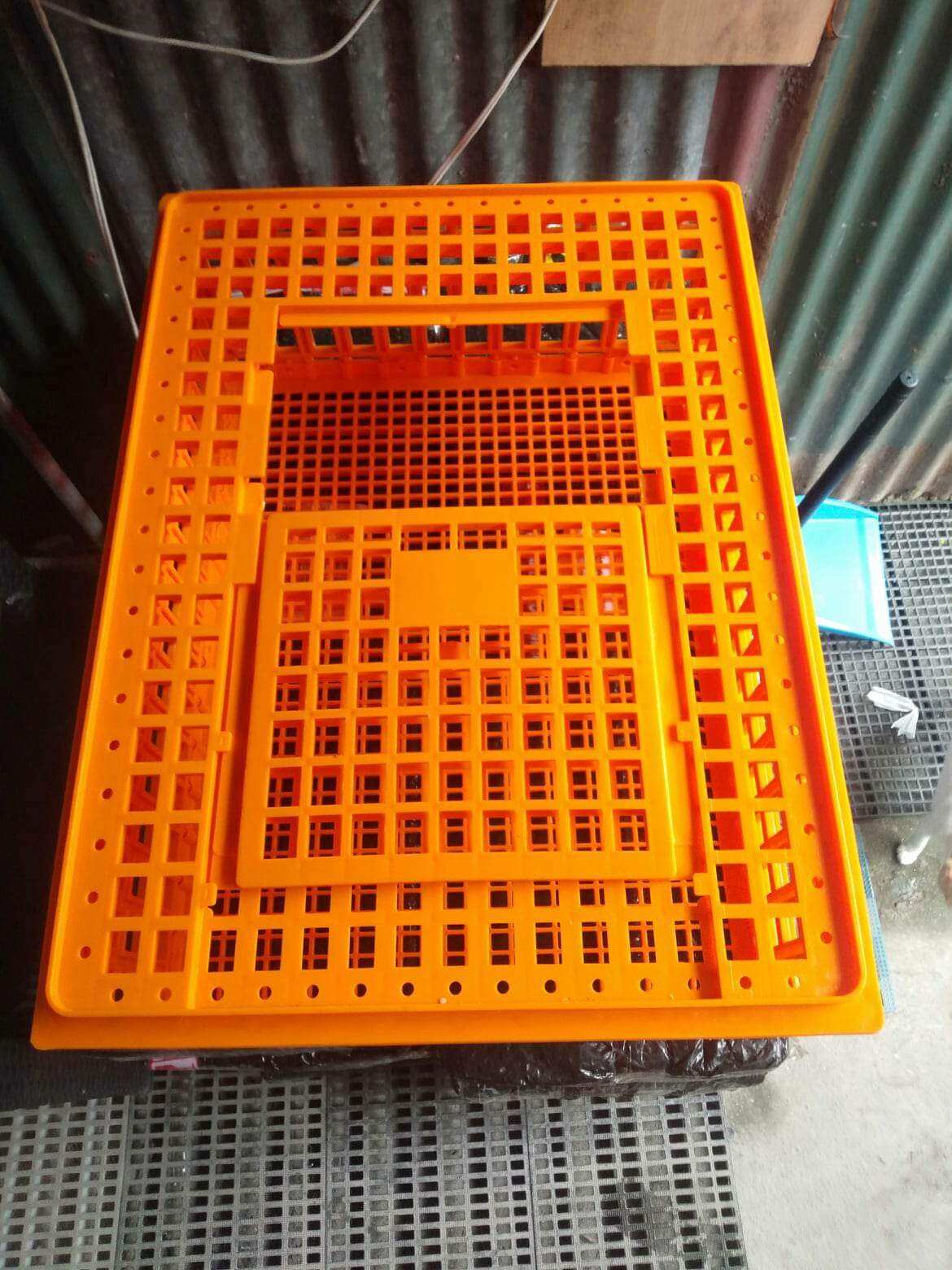 TRANSPORT CHICK CAGE/LIVE CHICKEN CRATES | Lazada PH