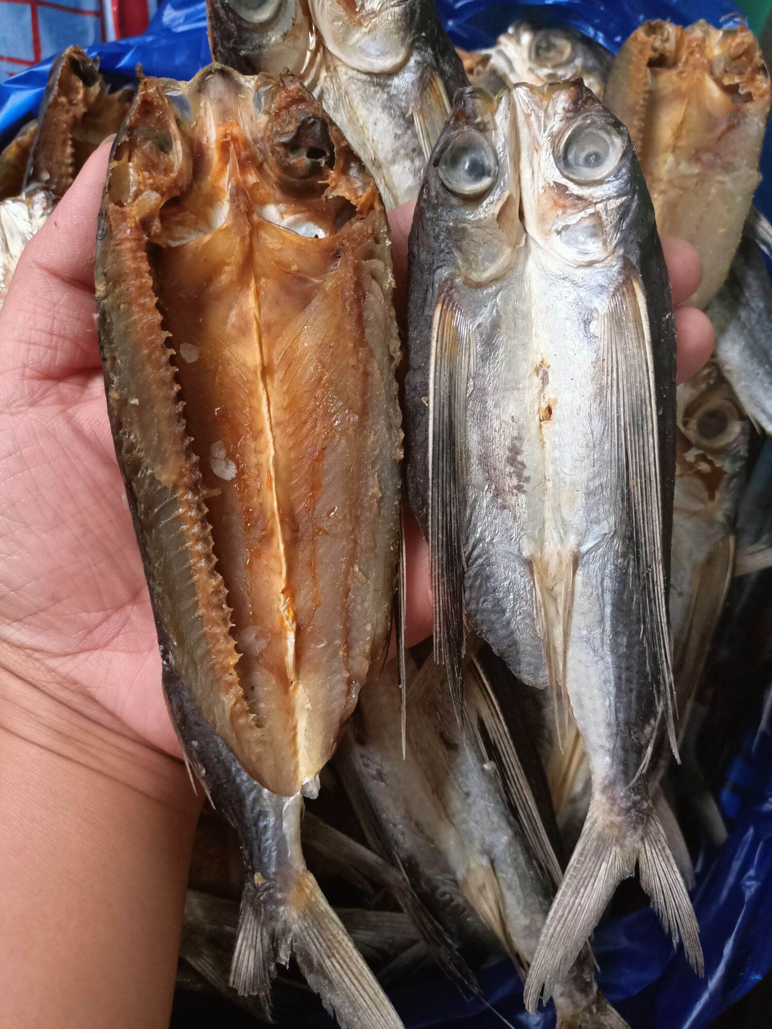 Flying fish Daing 250g | Lazada PH
