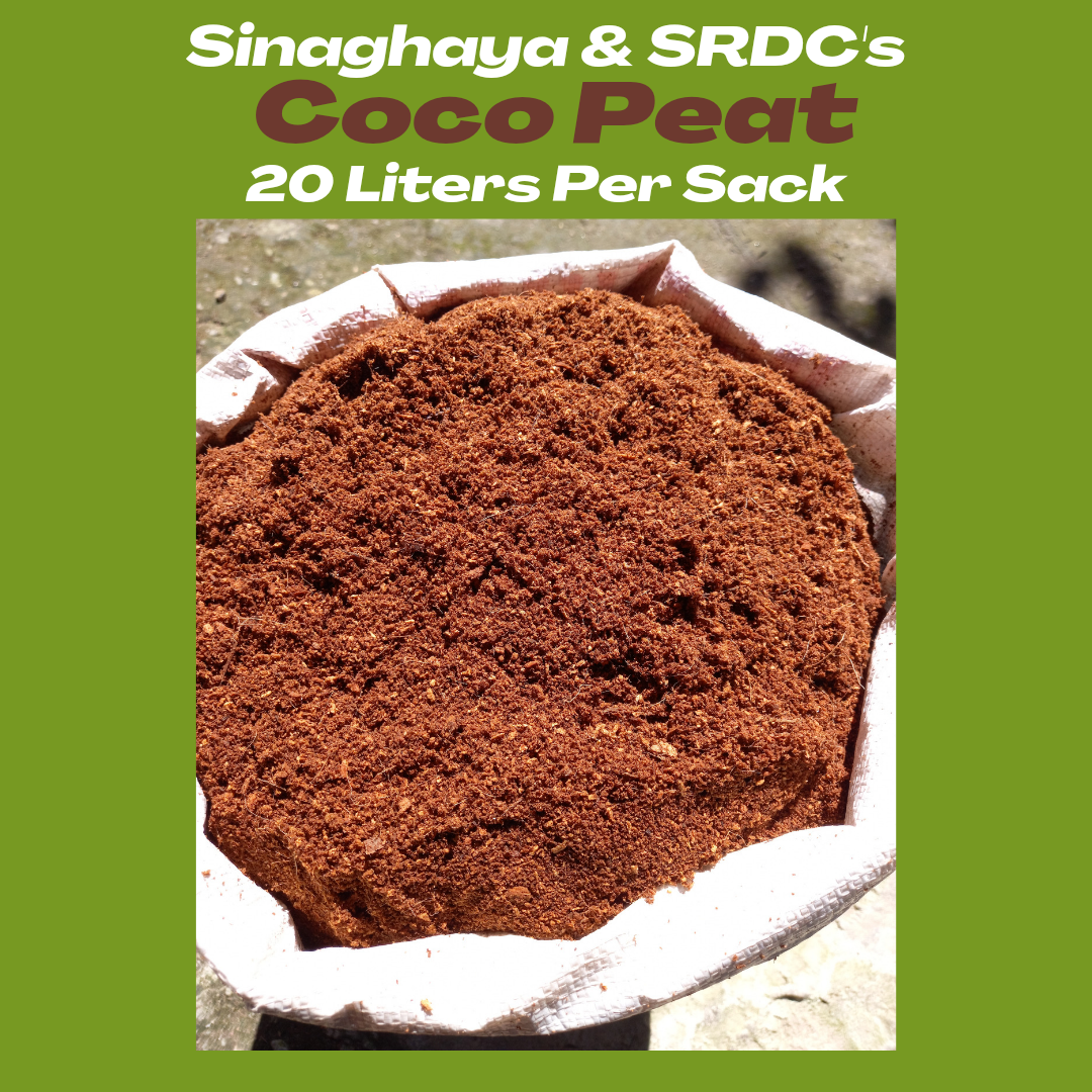Sinaghaya 20L Raw Coco Peat 20 Liters Per Sack 1 Sack Coco Peat 1 Sack ...