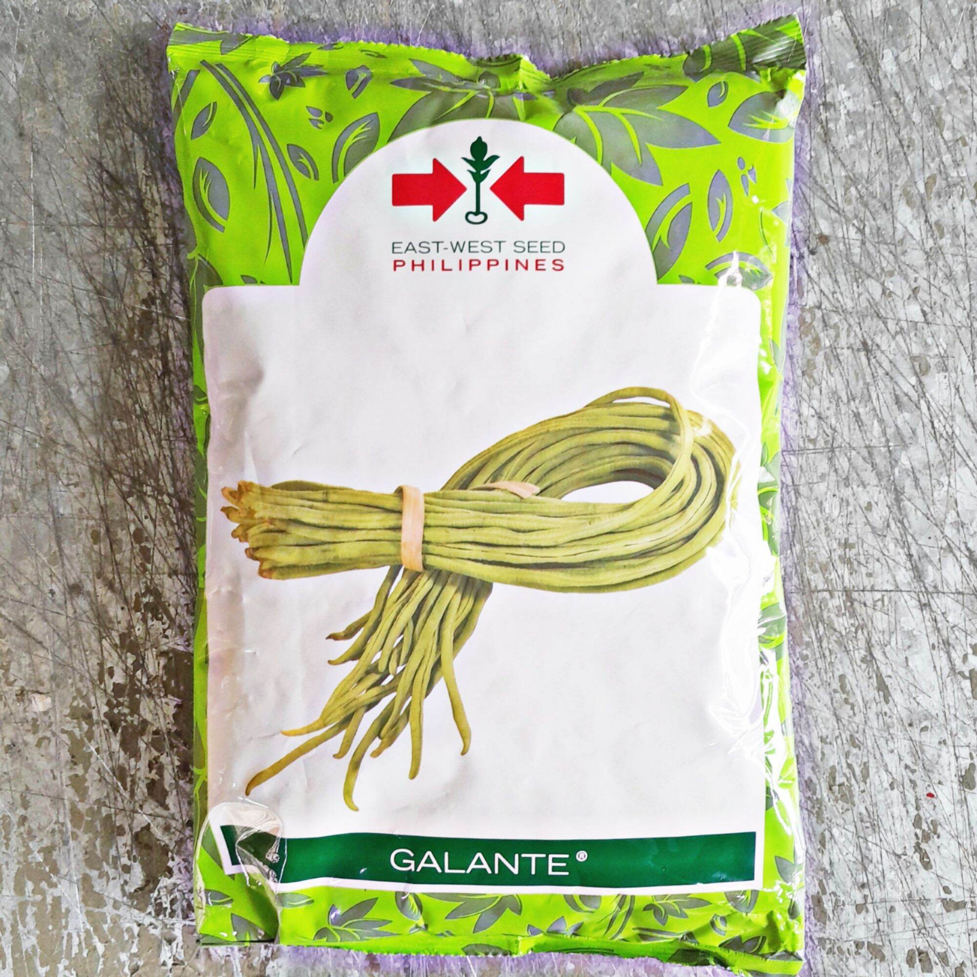GALANTE POLE SITAO / SITAW SEEDS (1 KILO) by EAST WEST SEED | Lazada PH
