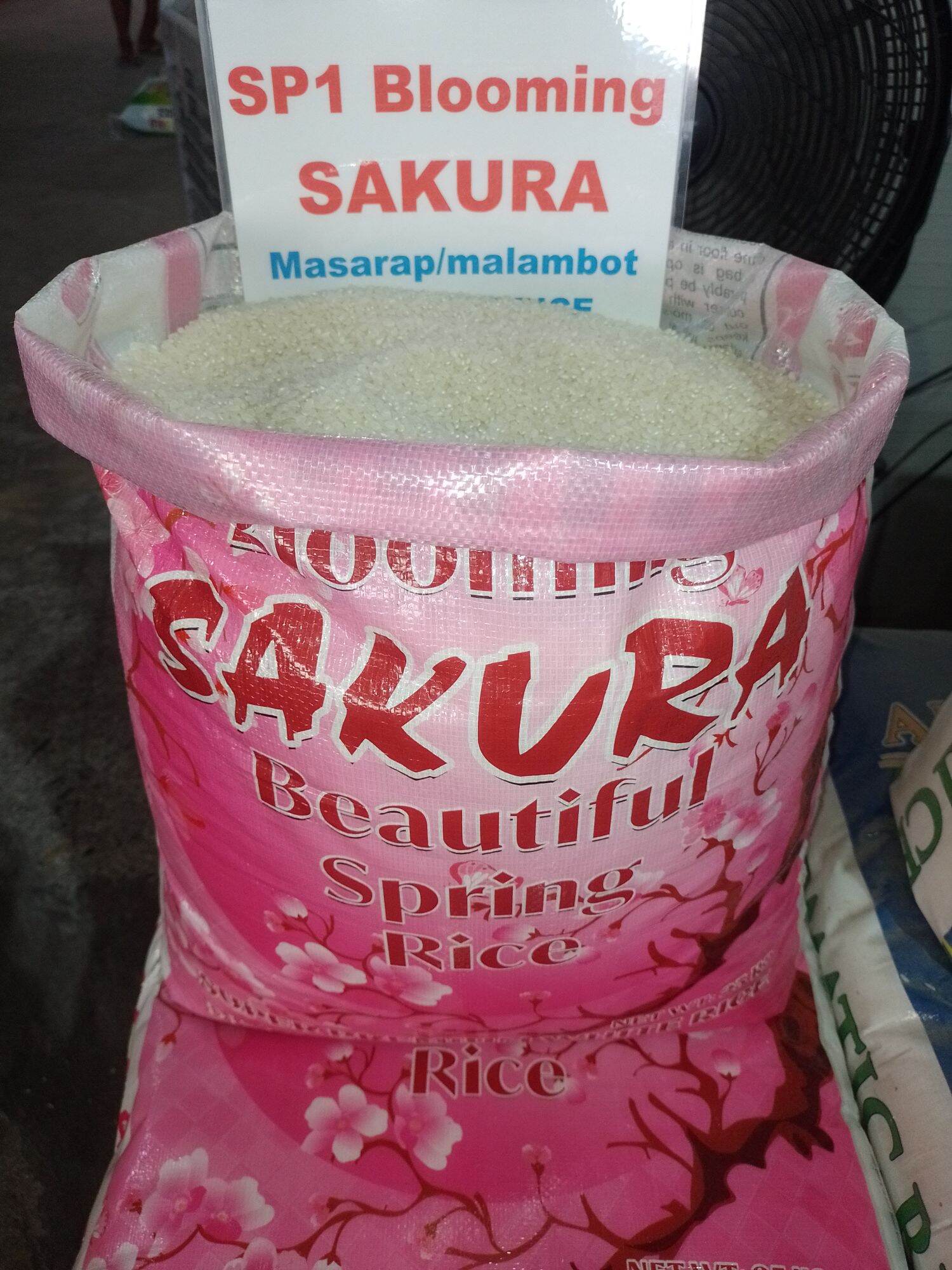 Sakura Japanese Rice Sushi Rice 25kg | Lazada PH