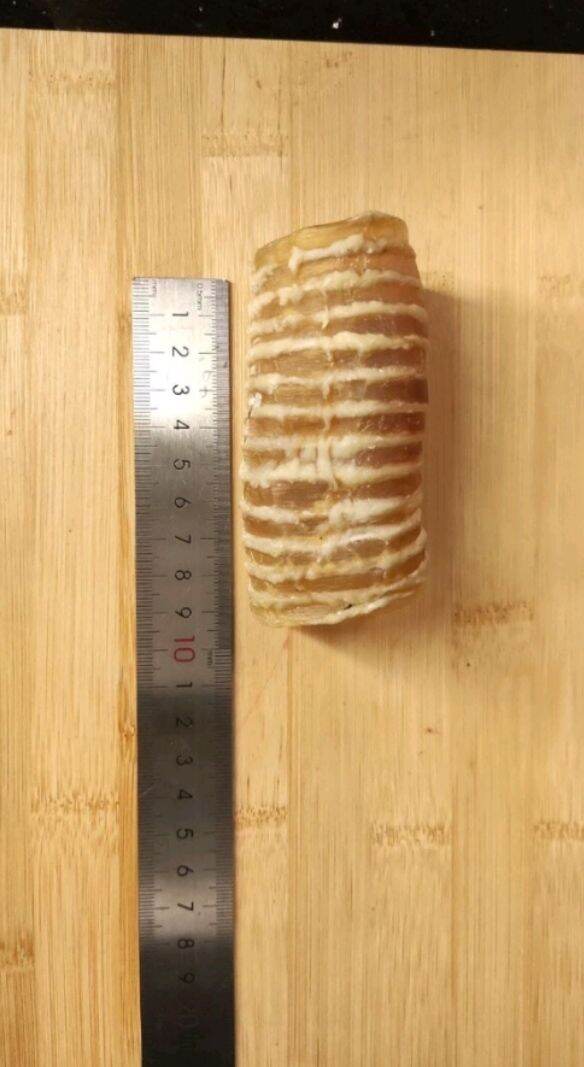 Dehydrated Beef Trachea / Cow Trachea - All Natural and Home made Dog ...