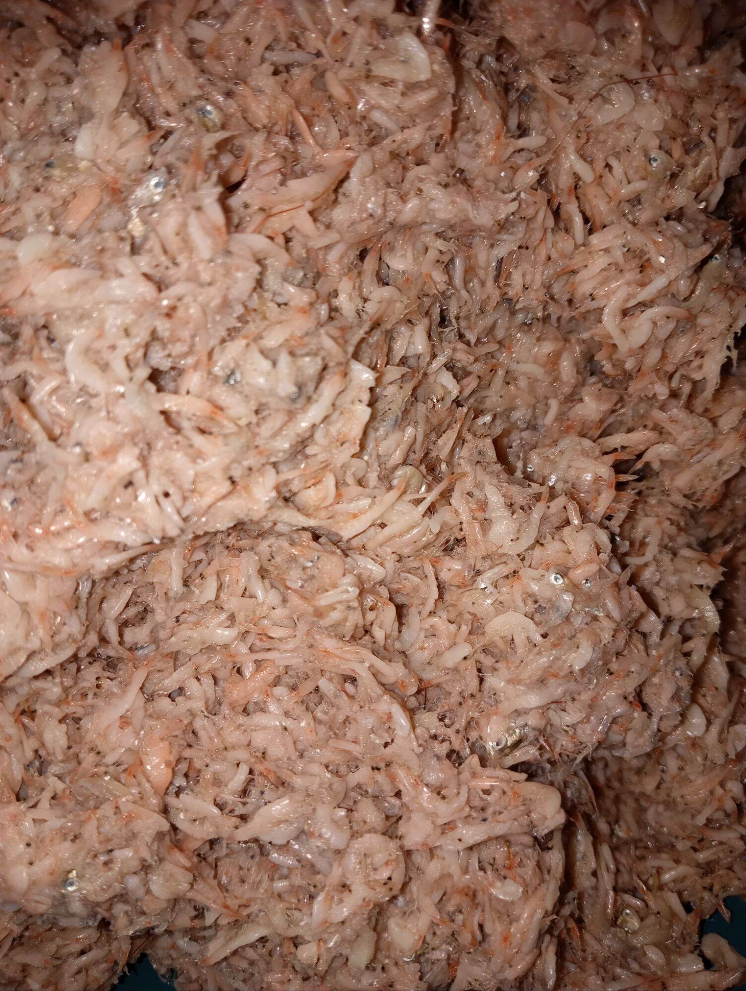 Balao Bicol for Bicol express balaw small shrimp for cooking 500 grams ...