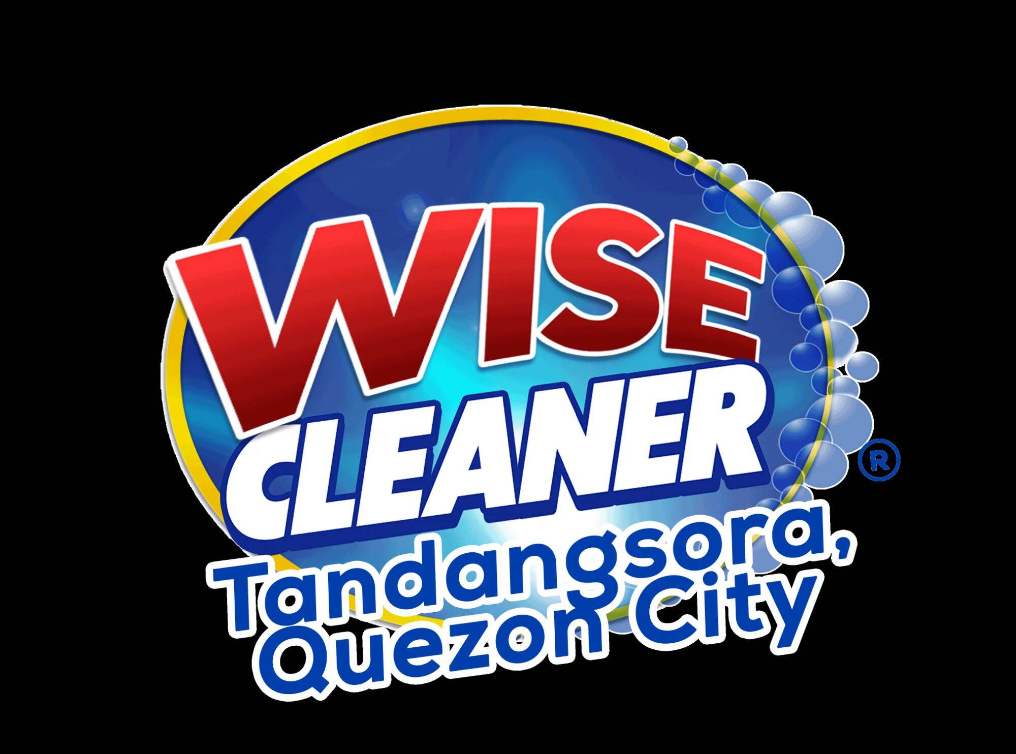 WISE CLEANER TANDANGSORA Official Store in the Philippines, Online Shop ...
