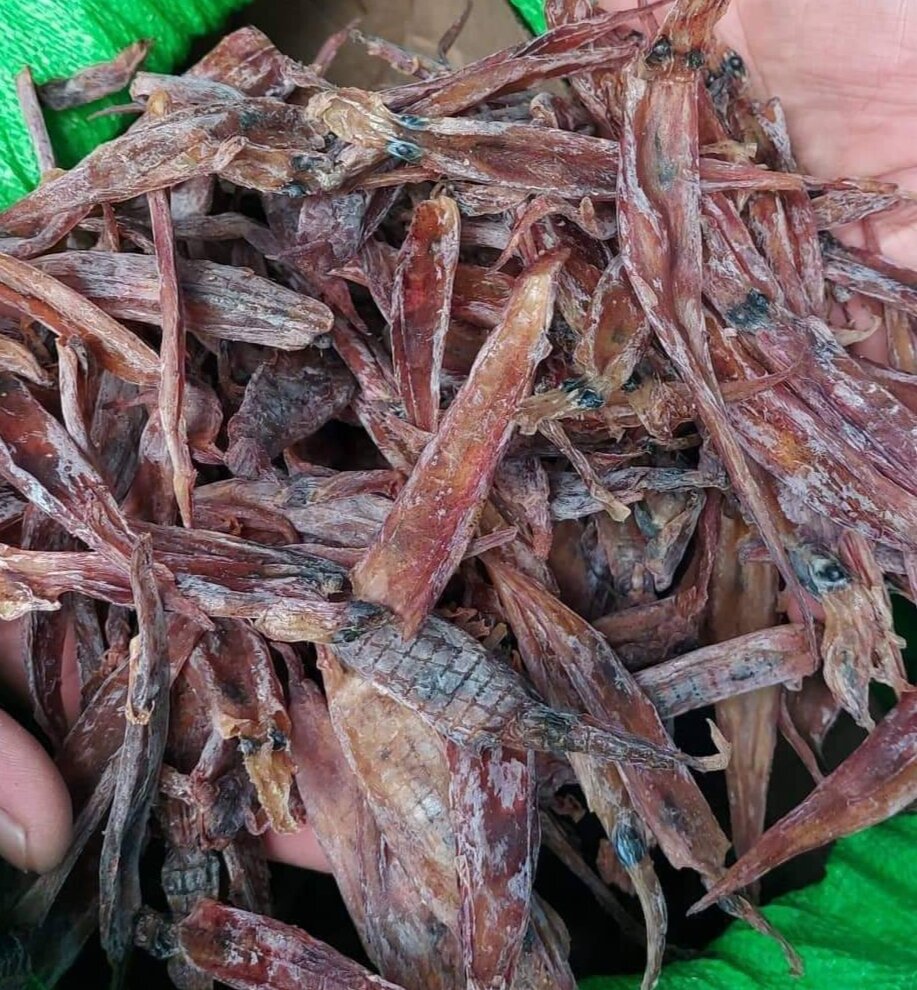 Dried Pusit ballpen 100g | Lazada PH