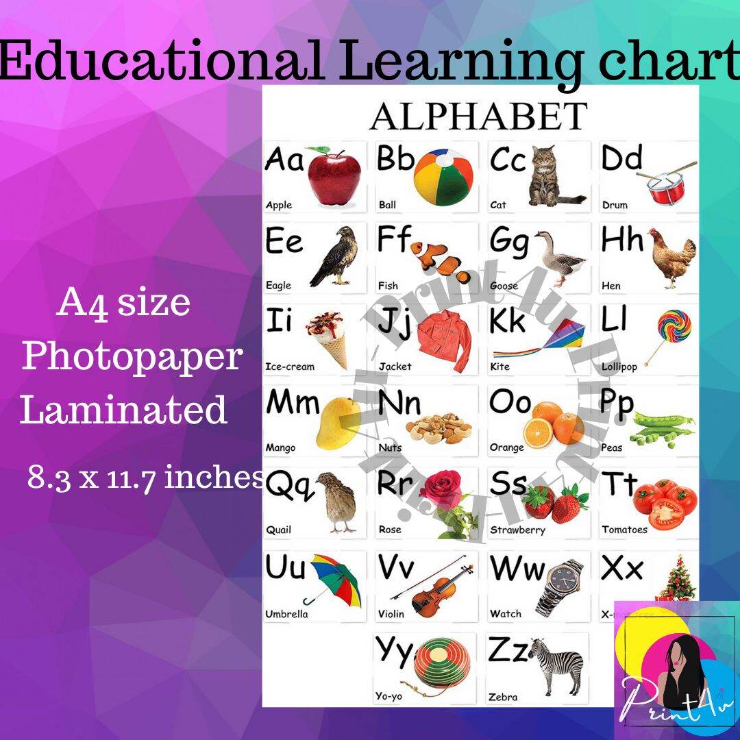 Alphabet Learning chart A4 Laminated | Lazada PH