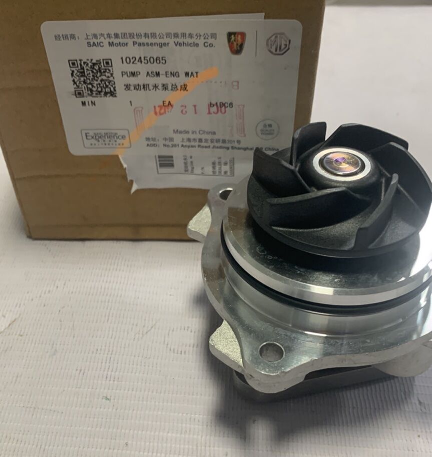 MG SAIC MOTOR Water Pump for MG ZS / MG5 PN# 10245065 | Lazada PH