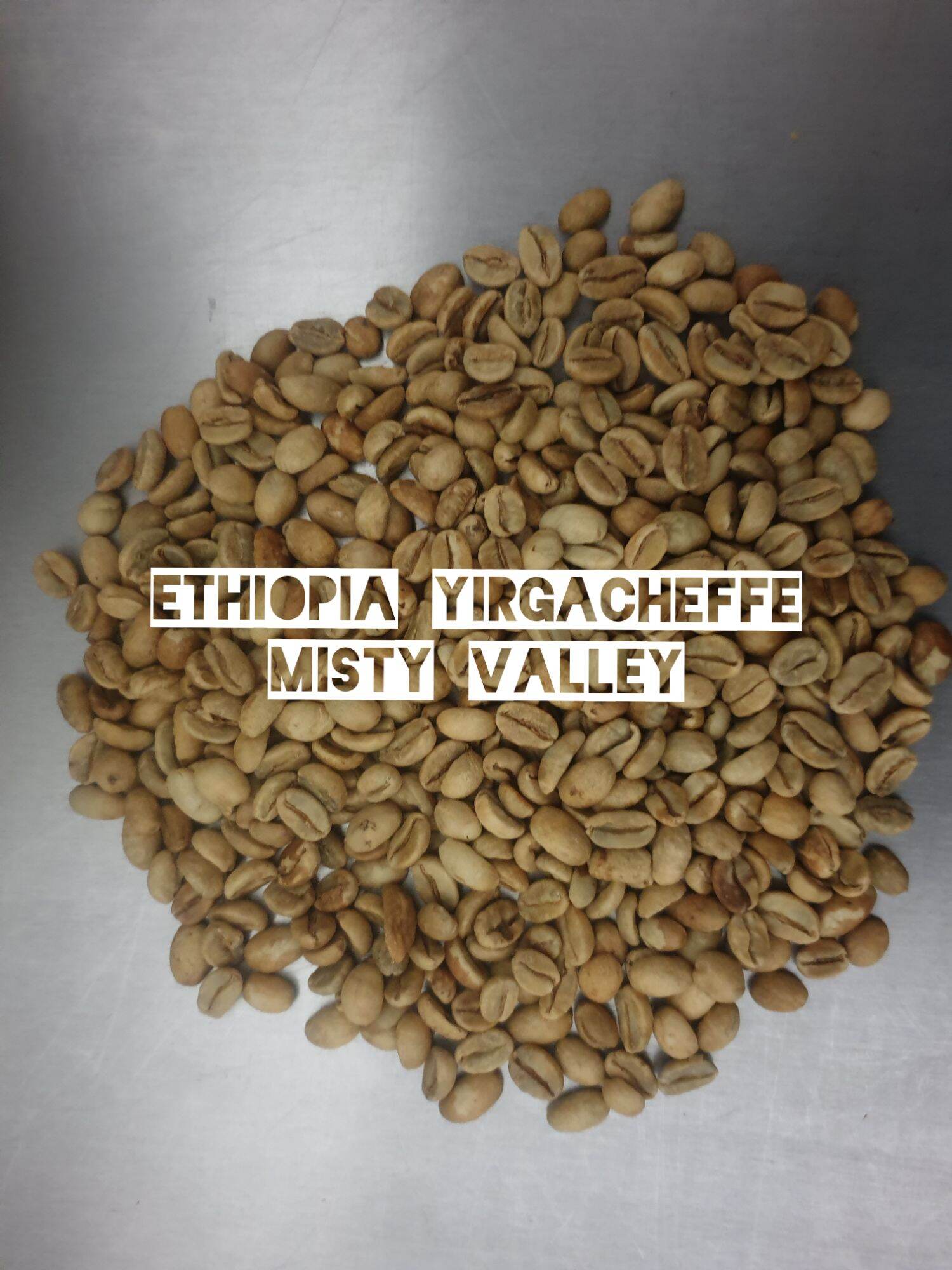 ETHIOPIA YIRGACHEFFE MISTY VALLEY G1 SPECIALTY GREEN COFFEE BEANS 1lg ...