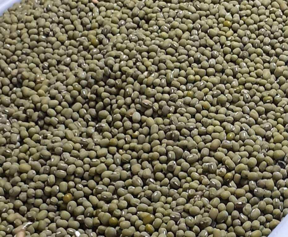 Green Monggo 1/2kg/1kg | Lazada PH